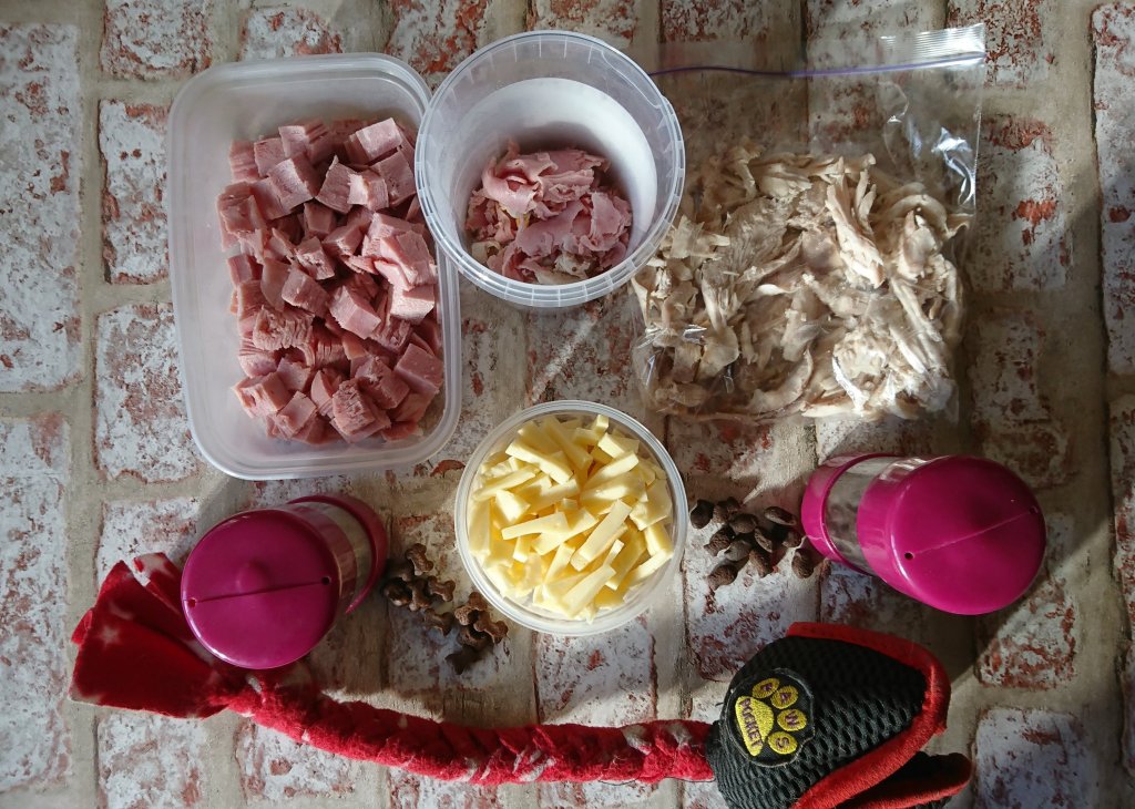 Why are rewards so important in dog training and how do we make sure ...