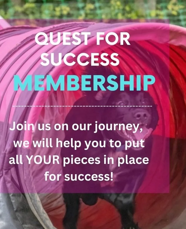 Quest For Success Academy – Level Up! – KB Dog Agility
